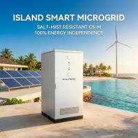 China 125kW 261kWh Island Microgrid BESS with C5-M Marine Coating and Black Start for Solar Wind Hybrid for sale