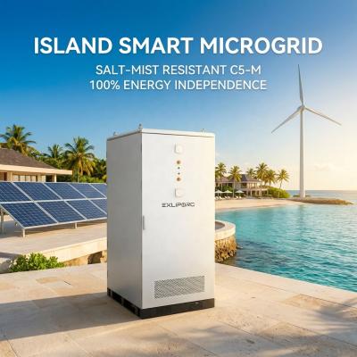 China 125kW 261kWh Island Microgrid BESS with C5-M Marine Coating and Black Start for Solar Wind Hybrid for sale