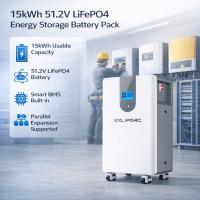 China 15kWh 51.2V LiFePO4 Energy Storage Battery Pack 10000 Cycles ESS for sale