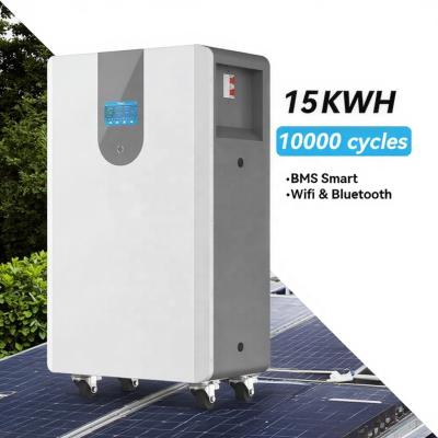 China Customizable 51.2V 300Ah LiFePO4 Battery Pack 15kWh 10000 Cycles for Solar Home Energy Storage for sale