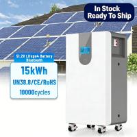 China 51.2V 300Ah LiFePO4 Battery Powerwall 15kWh with Built-in BMS for Solar Energy Storage for sale