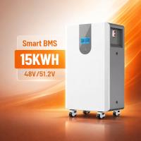 China 48V LiFePO4 Battery 10kWh-30kWh Capacity with Hybrid Inverter and Smart BMS for Energy Storage System for sale