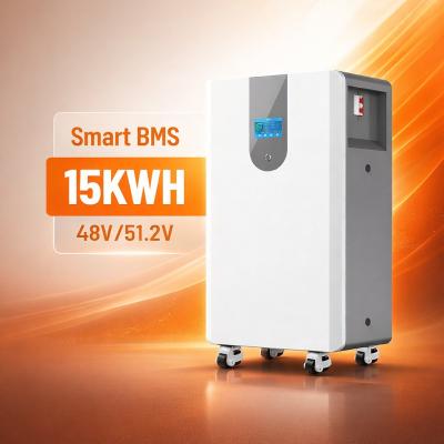 China 48V LiFePO4 Battery 10kWh-30kWh Capacity with Hybrid Inverter and Smart BMS for Energy Storage System for sale