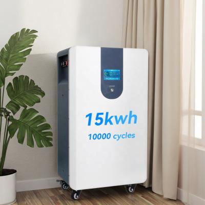 China 15kWh 300Ah LiFePO4 Home Energy Storage System 51.2V 6000 Cycle Life Wall Mounted Battery for sale