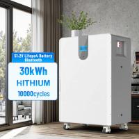 China LiFePO4 Solar Battery 51.2V 30kWh Wall Mount 10000 Cycles Energy Storage for sale
