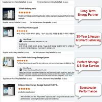 China LiFePO4 Solar Battery 51.2V 30kWh Wall Mount 10000 Cycles Energy Storage for sale
