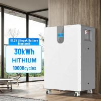 China 51.2V 30kWh LiFePO4 Hybrid Grid Home Energy Storage Battery System for sale