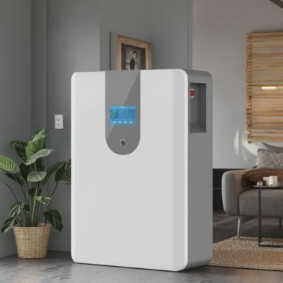 China 5kWh Wall Mounted LiFePO4 Battery 51.2V 100Ah IP65 Home Energy Storage Powerwall for sale