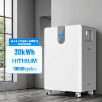 China 30kWh LiFePO4 Lithium Battery Pack with Hybrid Grid Connection and BMS for Home Energy Storage for sale