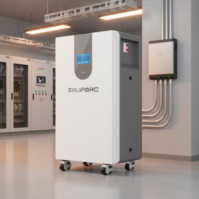 China EXLIPORC 48V 51.2V LiFePO4 Battery Pack 100Ah 200Ah 15kWh for Solar Home Systems for sale