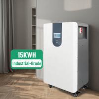 China EXLIPORC Wall-Mounted LiFePO4 Battery 51.2V 5kWh-15kWh Solar Home Energy Storage for sale