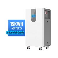 China 48V 51.2V 200Ah LiFePO4 Wall Mounted Battery Pack for Home Solar Energy Storage for sale