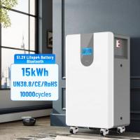 China EXLIPORC 51.2V 100Ah-300Ah Wall-Mounted LiFePO4 Solar Battery for Home Energy Storage for sale