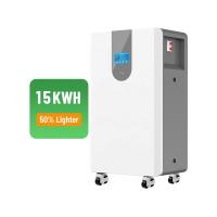 China EXLIPORC 15kWh 48V 51.2V LiFePO4 Solar Battery Storage Wall Mounted for Home Solar System for sale