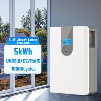 China Deep Cycle 100Ah 51.2V LiFePO4 Battery with Smart BMS for 48V Solar Energy Storage for sale