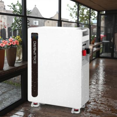 China 15kWh LiFePO4 Lithium Battery 51.2V 314Ah 10000 Cycle Life for Hybrid Grid Solar Energy Storage for sale