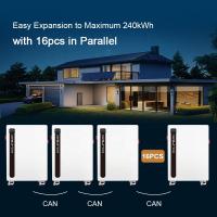 China 15kWh LiFePO4 Lithium Battery 51.2V 314Ah 10000 Cycle Life for Hybrid Grid Solar Energy Storage for sale