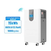 China 15kWh 300Ah LiFePO4 Home Energy Storage System 48V Smart BMS Solar Power Battery for sale