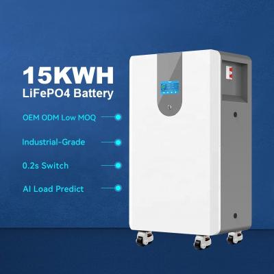 China 51.2V 15kWh LiFePO4 Lithium Battery with Smart BMS for Home Energy Storage for sale