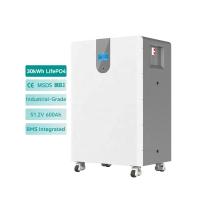 China 30kWh 51.2V 600Ah Lithium Ion Battery for 10kW Solar Home Energy Storage System for sale