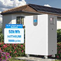 China EXLIPORC 51.2V 50kWh LiFePO4 Battery Hybrid Grid Wall-Mounted Energy Storage System for Solar Home for sale