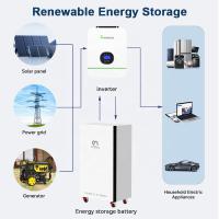 China 51.2V 15kWh LiFePO4 Battery 10000 Cycles Home Energy Storage Solar System for sale