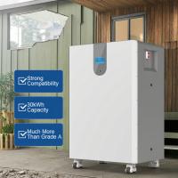 China 51.2V 15kWh-30kWh LiFePO4 Wall-Mounted Energy Storage Battery for Home Solar System for sale