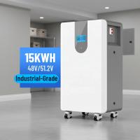 China EU 15kWh LiFePO4 Energy Storage Battery 10000 Cycles Smart BMS Solar Hybrid Grid for sale