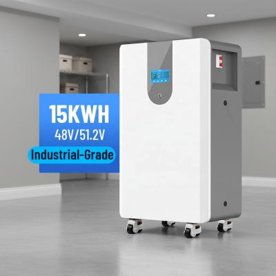 China EU 15kWh LiFePO4 Energy Storage Battery 10000 Cycles Smart BMS Solar Hybrid Grid for sale