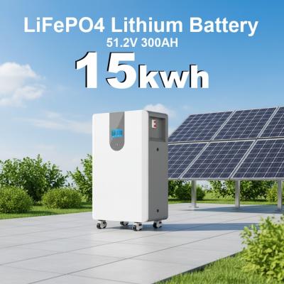 China EU OEM 15kWh 48V 51.2V LiFePO4 Lithium Battery 10000 Cycle Life Smart BMS for sale