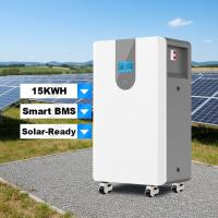 China 51.2V 15kWh LiFePO4 Lithium Battery Powerwall for Solar Energy Storage System for sale