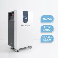 China 51.2V 300Ah LiFePO4 Battery 15KWh Home Energy Storage System with 10000 Cycles Smart BMS for sale