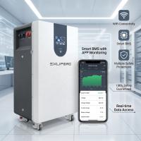 China 51.2V 300Ah LiFePO4 Battery 15KWh Home Energy Storage System with 10000 Cycles Smart BMS for sale