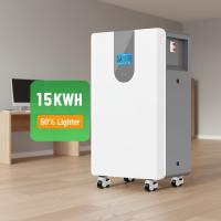 China 51.2V 15KWh LiFePO4 Battery Pack 10000 Cycles Hybrid Grid Energy Storage for sale