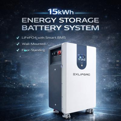 China 15kWh LiFePO4 Energy Storage Battery with Smart BMS 10000 Cycles for Solar for sale