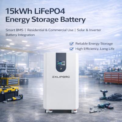 China 15kWh 51.2V LiFePO4 Energy Storage Battery Pack with Smart BMS for Home and Commercial ESS for sale