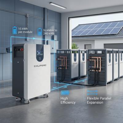 China 15kWh 51.2V LiFePO4 Smart BMS Energy Storage System for Home Solar Use for sale