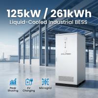 China Commercial Industrial BESS 50 kW to 1 MW 85000 Cycles Lithium Ion Energy Storage System for sale