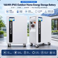 China IP65 Waterproof LiFePO4 Battery 16kWh 51.2V 11000 Cycles Solar Energy Storage for sale