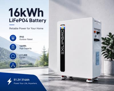 China IP65 Waterproof LiFePO4 Battery 16kWh 51.2V 11000 Cycles Solar Energy Storage for sale