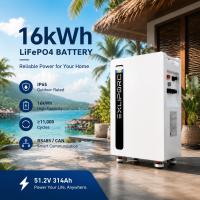 China IP65 Waterproof 16kWh 51.2V LiFePO4 Battery for Solar Energy Storage for sale