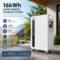 China IP65 Waterproof LiFePO4 Battery 51.2V 16kWh 11000 Cycles Industrial Energy Storage for sale