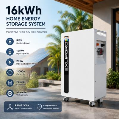 China IP65 Waterproof LiFePO4 Battery 51.2V 16kWh 11000 Cycles Industrial Energy Storage for sale