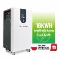 China 16KWh 51.2V 314Ah LFP Lithium Battery with Built-in BMS for Solar Energy Storage for sale