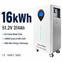 China Safe 16kWh LiFePO4 Battery with EV Blade Cells and Aerosol Fire Suppression, LVB16WTC Home Storage, EXLIPORC for sale