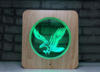 China Eagle Night Light 3D Illusion Table Lamp , 3D LED Illusion Light Home Decor for sale