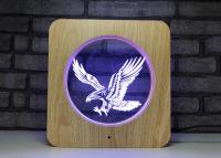 China Eagle Night Light 3D Illusion Table Lamp , 3D LED Illusion Light Home Decor for sale