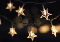 China Garden Star String Lights Fairy 100 200 300 LED Christmas Trees Charging Plug for sale