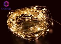 China 2M 20LED Decorative Indoor String Lights Warm White Copper Wire Fairy Restaurant for sale