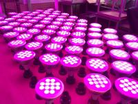 China 12 Watt Greenhouse LED Grow Lights Aluminum 1000LM 90V-265V E27 High Efficiency for sale